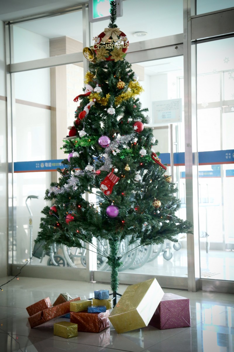 크리스마스 트리만들기 > 사진에 담은 경도 | 경도요양병원